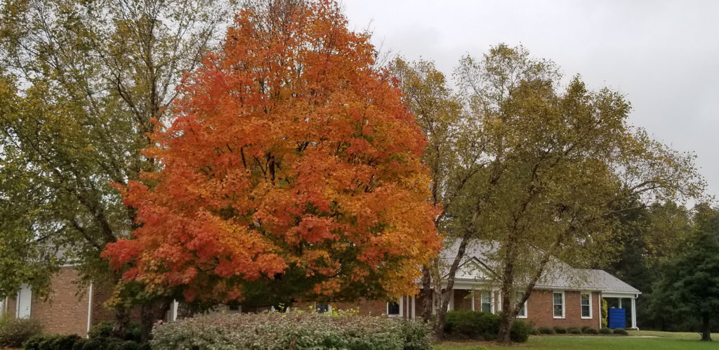 Jamestown Friends Meeting - Jamestown, NC - NC Fellowship of Friends